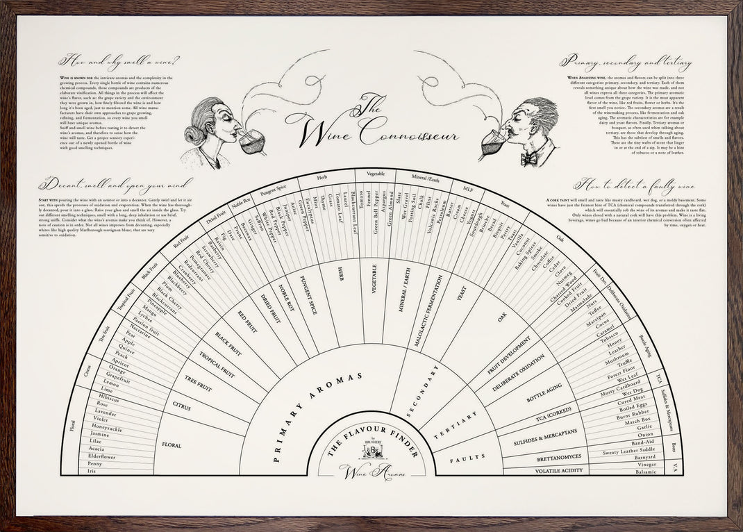 Wine Map Posters - Let your passion for wine flourish – Brushery